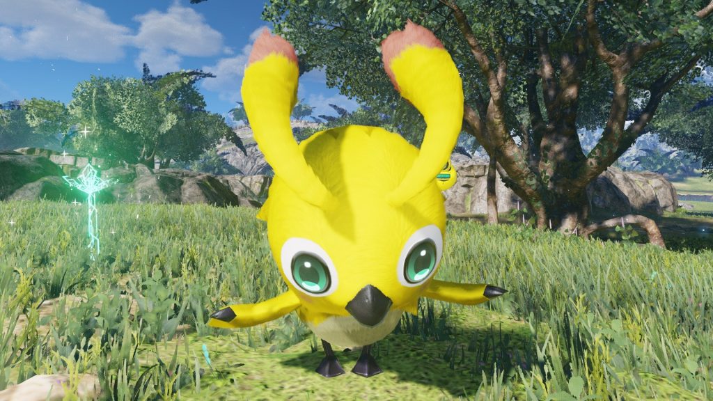 PSO2 NGS: Beginners! Rappy Pack – Phantasy Star Fan Blog