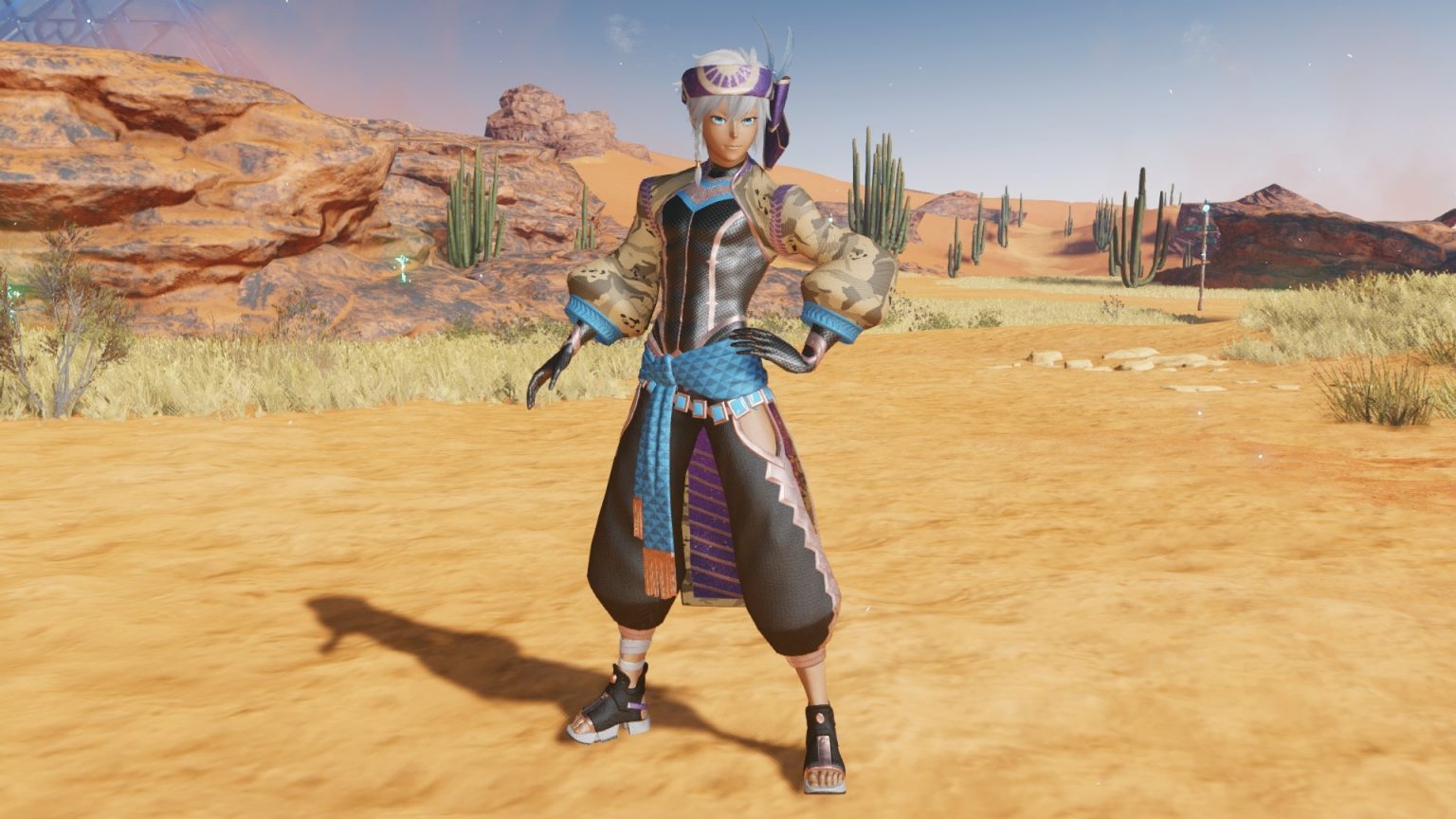 PSO2 NGS: Fiery Dunes Retem Packs – Phantasy Star Fan Blog
