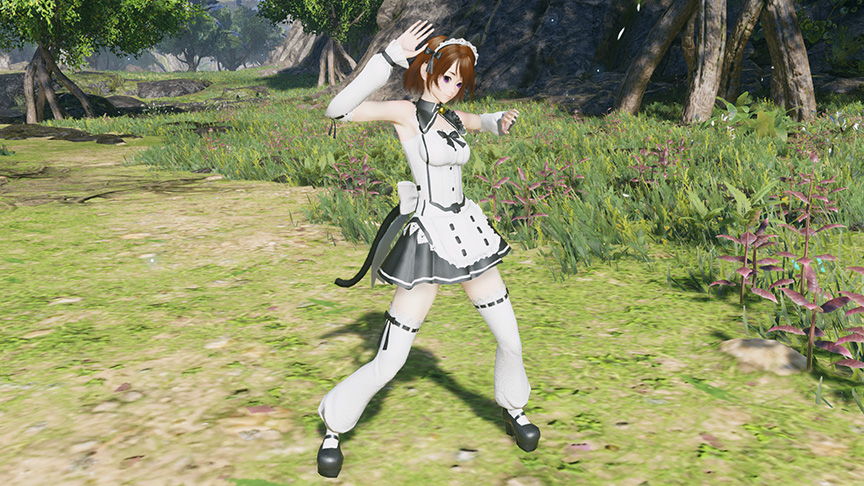 Help Nadereh Prepare for a Live Concert! – Phantasy Star Fan Blog