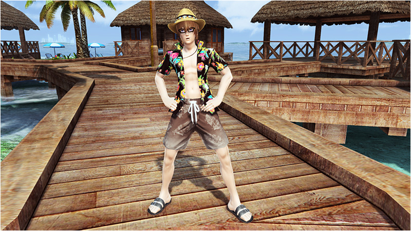 Sachiko Kobayashi Performs In Newest PSO2 Update | PSUBlog