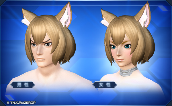 PSUBlog | Page 66 | Phantasy Star Fan Blog