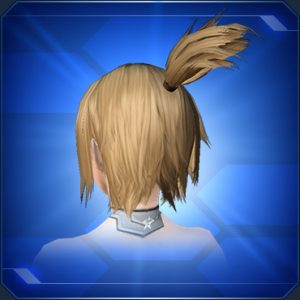 PSO2 JP AC Scratch: Ein Prosit | PSUBlog