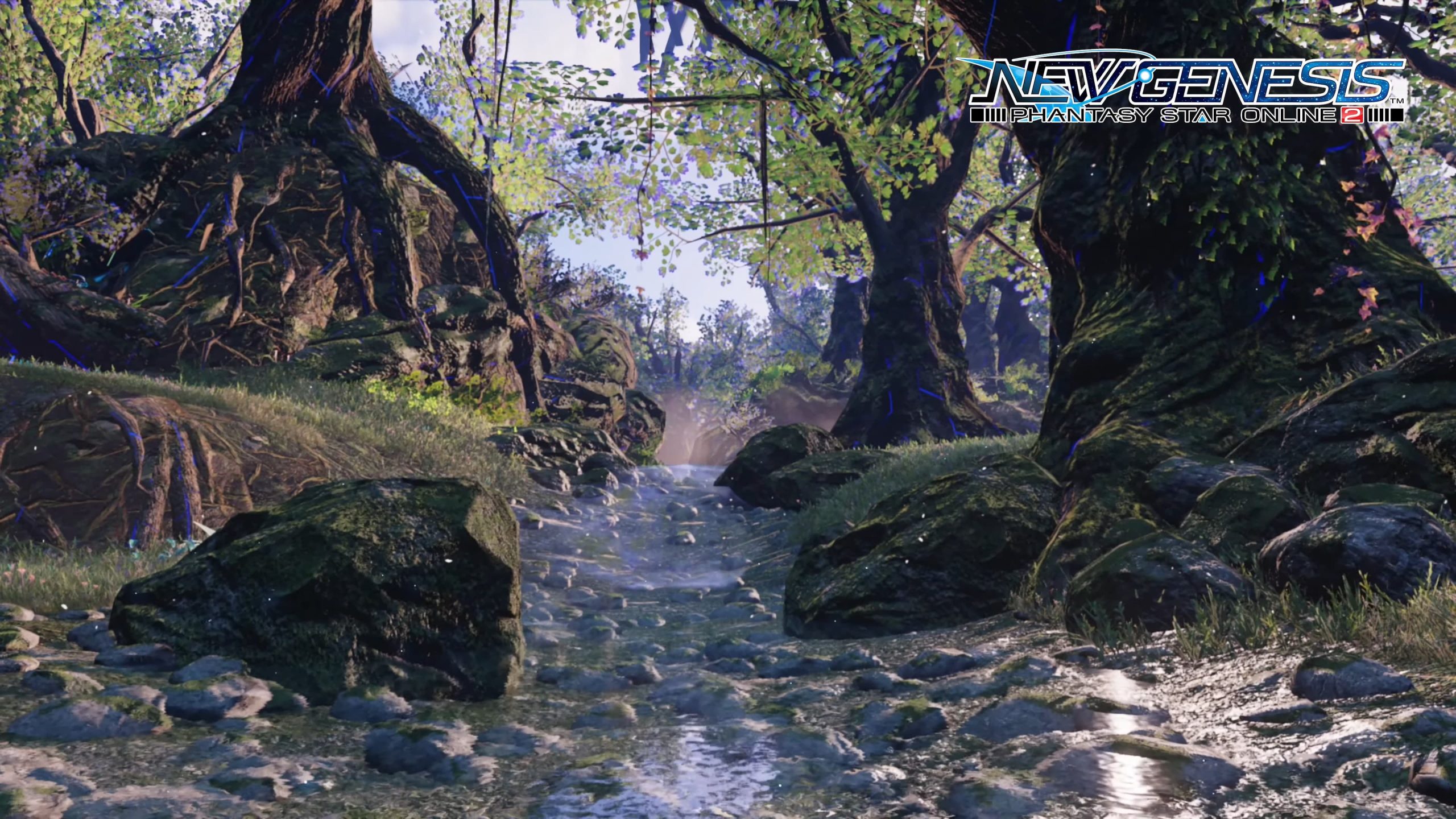 What Carries Over in PSO2: New Genesis | PSUBlog